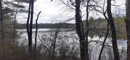 Best Snowshoeing Trails in Myles Standish State Forest | AllTrails