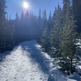 Butler Gulch Trail, Colorado - 2,490 Reviews, Map | AllTrails