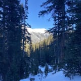 Butler Gulch Trail, Colorado - 2,490 Reviews, Map | AllTrails