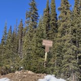 Butler Gulch Trail, Colorado - 2,490 Reviews, Map | AllTrails