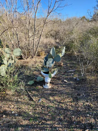 Best 10 Hiking Trails in Kickapoo Cavern State Park | AllTrails