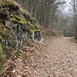 Mount Toby Trail, Massachusetts - 1,054 Reviews, Map | AllTrails