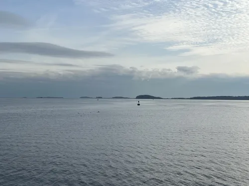 Best Hikes and Trails in Old Harbor Reservation | AllTrails