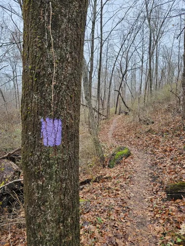 Best Hikes and Trails in Tyler Mill Preserve | AllTrails