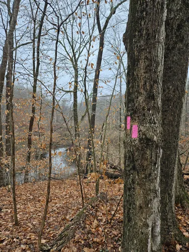 Best Hikes and Trails in Tyler Mill Preserve | AllTrails
