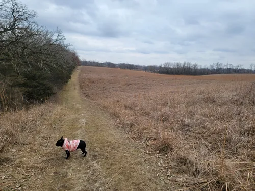 Best Hikes and Trails in Volo Bog State Natural Area | AllTrails