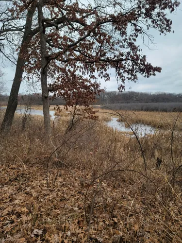 Best Hikes and Trails in Volo Bog State Natural Area | AllTrails