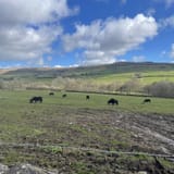 Rosedale Abbey, Blakey Ridge, and Ironstone Railway, North Yorkshire ...