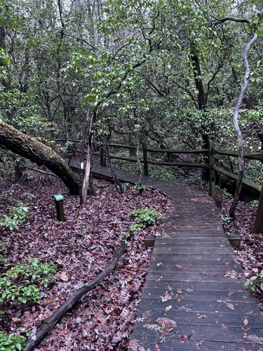 Best Hikes and Trails in Devils Fork State Park | AllTrails