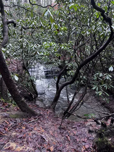 Best Hikes and Trails in Devils Fork State Park | AllTrails