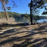 Flax Pond, Massachusetts - 235 Reviews, Map | AllTrails