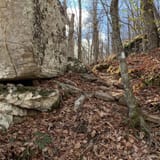 Tinker Cliffs via Andy Layne Trail, Virginia - 1,550 Reviews, Map ...