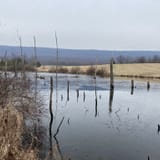 Leaser Lake Trail, Pennsylvania - 555 Reviews, Map | AllTrails