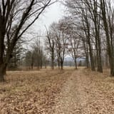 Leaser Lake Trail, Pennsylvania - 579 Reviews, Map | AllTrails