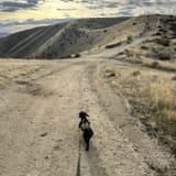 Hart Park Trail, California - 634 Reviews, Map | AllTrails