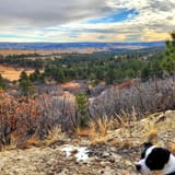 Ute Valley Park Loop Trail, Colorado - 2,552 Reviews, Map | AllTrails