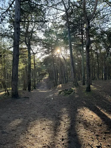 National Trust Nature Reserve at Formby: de beste routes om te wandelen ...