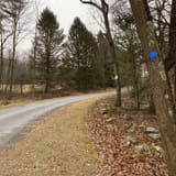 Leaser Lake Trail, Pennsylvania - 555 Reviews, Map | AllTrails