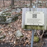 Leaser Lake Trail, Pennsylvania - 555 Reviews, Map | AllTrails