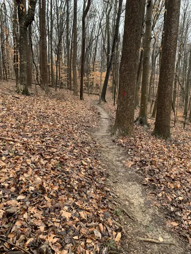 Best Hikes and Trails in Barren River Lake State Resort Park | AllTrails