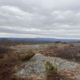 Blue Job Mountain Loop, New Hampshire - 1,948 Reviews, Map | AllTrails