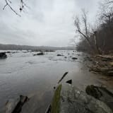 Turkey Run Potomac Heritage Trail, Virginia - 1,389 Reviews, Map ...