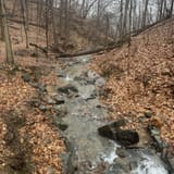 Turkey Run Potomac Heritage Trail, Virginia - 1,389 Reviews, Map ...