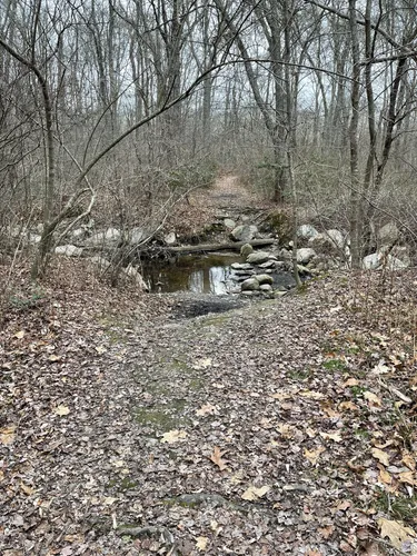 Best Hikes and Trails in Simmons Mill Pond Management area | AllTrails