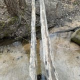 Crahen Valley Park Loop, Michigan - 1,318 Reviews, Map | AllTrails