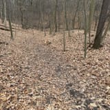 Crahen Valley Park Loop, Michigan - 1,318 Reviews, Map | AllTrails
