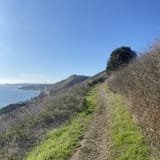 Corral Canyon Loop, California - 1,649 Reviews, Map | AllTrails