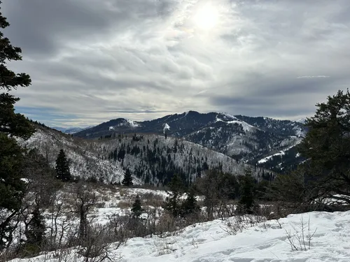 Best Walking Trails in Summit Park Open Space | AllTrails