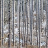 Ice Age Trail: Blue Spring Lake Segment, Wisconsin - 602 Reviews, Map ...
