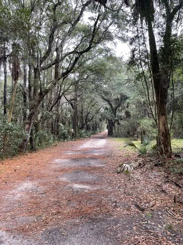 Best Hikes and Trails in Cape Romain National Wildlife Refuge | AllTrails