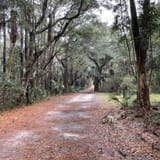 Bull Island, South Carolina - 73 Reviews, Map | AllTrails