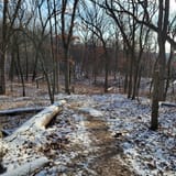 Ice Age Trail: Blue Spring Lake Segment, Wisconsin - 502 Reviews, Map ...