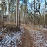 Ice Age Trail: Blue Spring Lake Segment, Wisconsin - 602 Reviews, Map ...