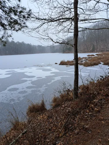 Best Hikes and Trails in Chenango Valley State Park | AllTrails