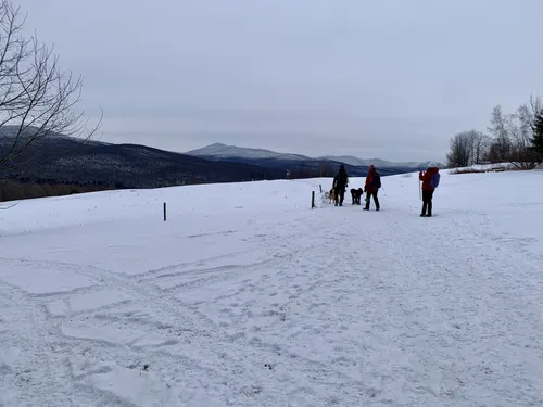 Best Hikes and Trails in Abercorn | AllTrails