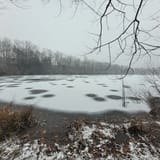 Leaser Lake Trail, Pennsylvania - 608 Reviews, Map | AllTrails