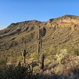 Pass Mountain Trail, Arizona - 4,385 Reviews, Map | AllTrails