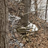 Winchell Trail, Minnesota - 703 Reviews, Map | AllTrails