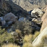 Cahuilla Canyon Trail, California - 550 Reviews, Map | AllTrails