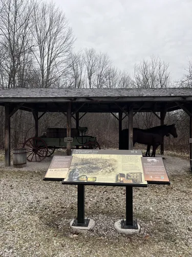 Best Hikes and Trails in Murphy's Point Provincial Park | AllTrails