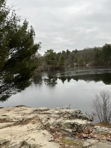 Best Forest Trails in Wakefield | AllTrails