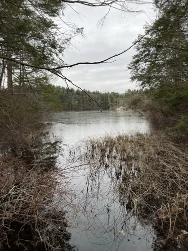 Best Beach Trails in Wakefield | AllTrails