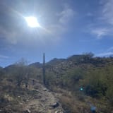 Dreamy Draw Loop Trail, Arizona - 1,166 Reviews, Map | AllTrails