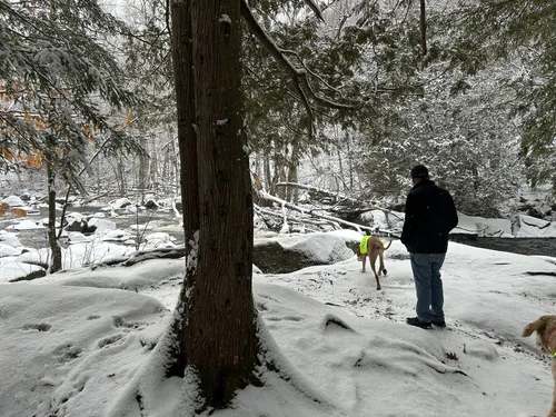 Best Hikes and Trails in Hayman Falls County Park | AllTrails