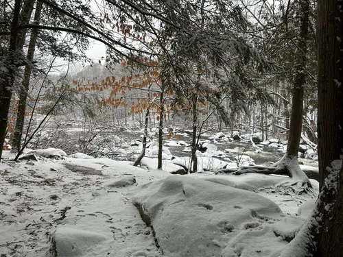 Best Hikes and Trails in Hayman Falls County Park | AllTrails