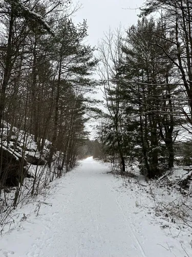 Best Wild Flowers Trails in Parry Sound | AllTrails